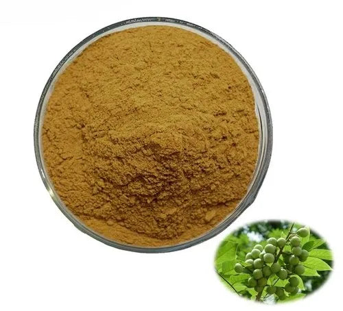 Neem Extract Powder Canada – PURE ACTIVES